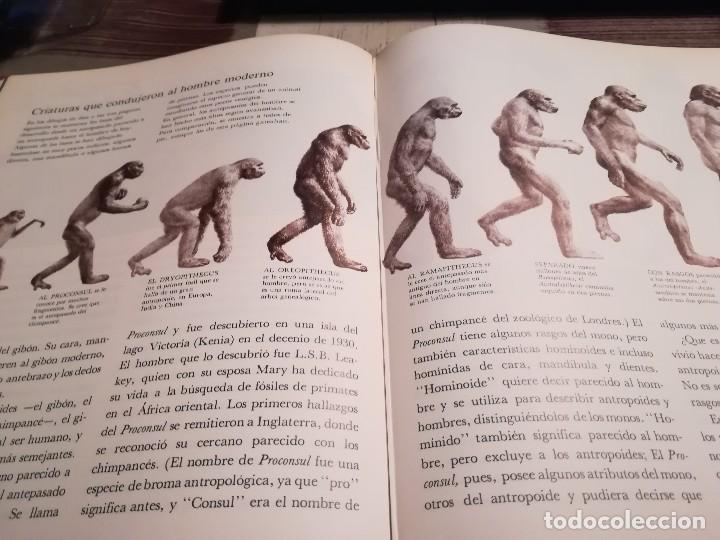 el hombre prehistórico - f. clark howell - life - Comprar Libros de ...