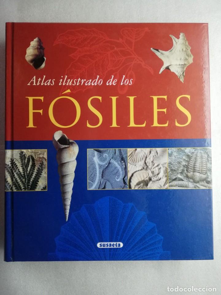 atlas ilustrado de los fósiles. ed. susaeta - Comprar Libros de ...