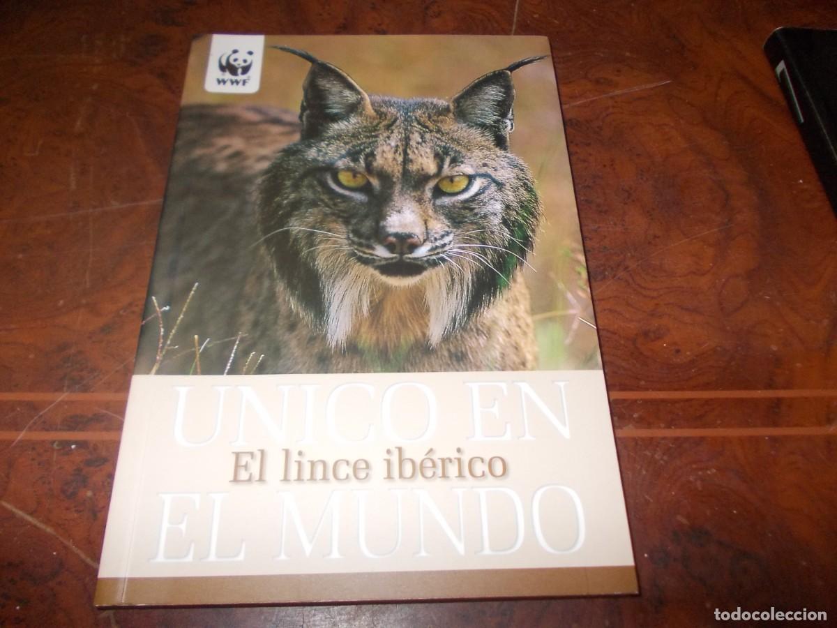 el lince ibérico, único en el mundo. jorge bart - Compra venta en ...