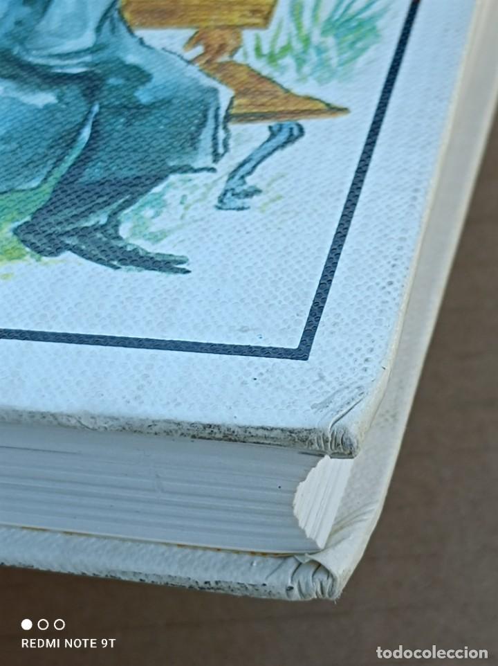 libro anaya colección tus libros - el candor de - Comprar Libros de ...