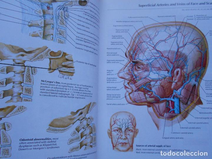 Atlas De Anatomía Humana Frank H. Netter