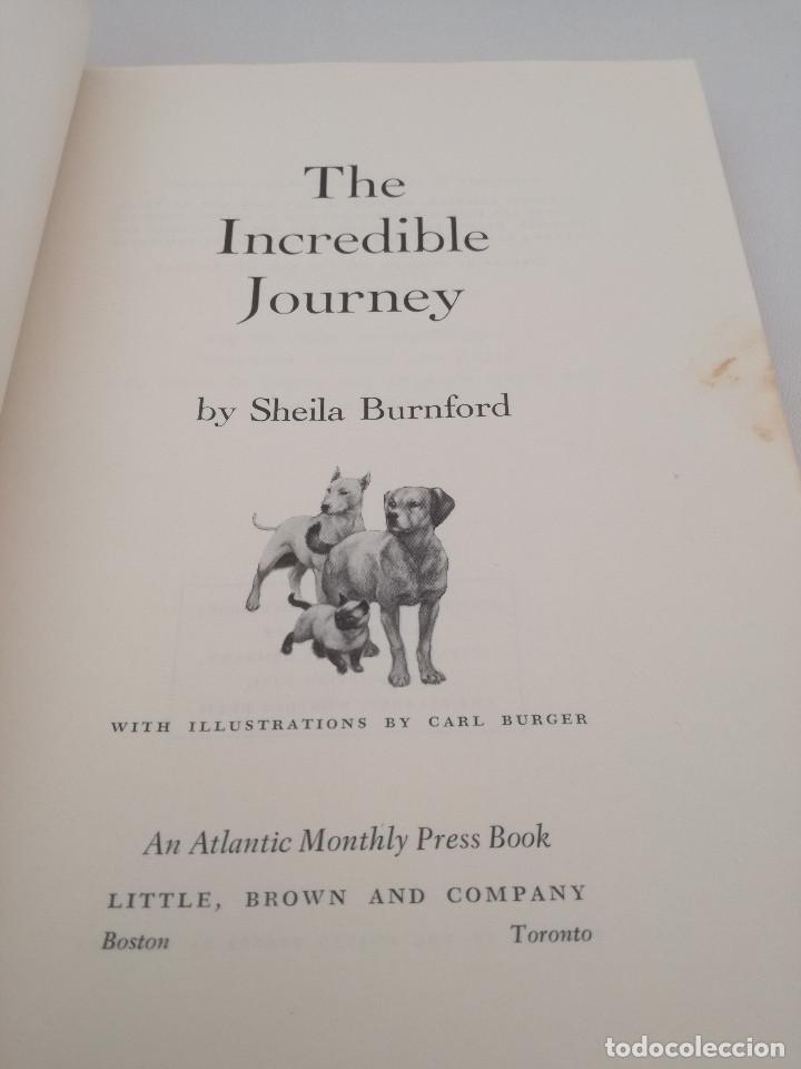 el viaje increible - the incredible journey (19 - Comprar Libros de ...