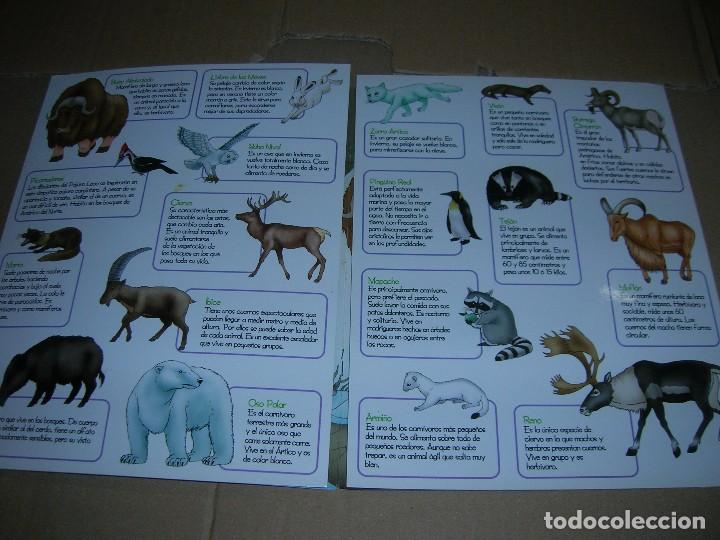 libro panorámico de los animales, la montaña. c - Comprar en ...