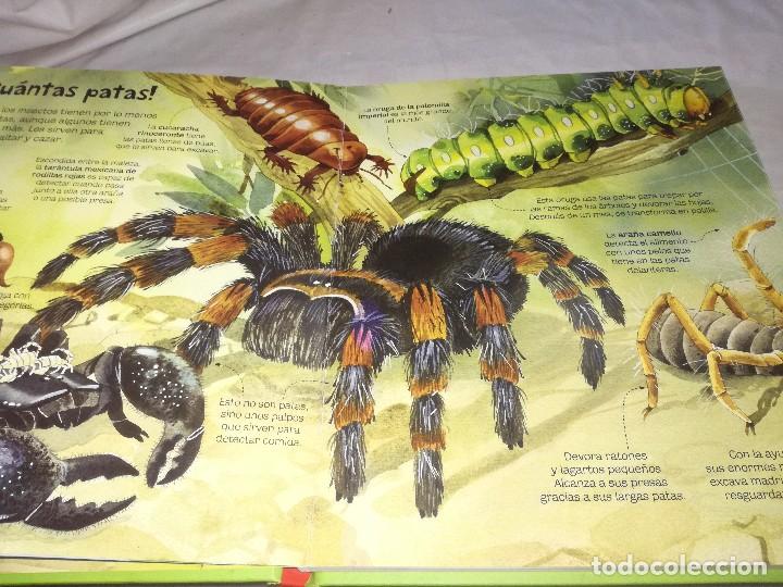 el gran libro de los grandes insectos y aracnid - Comprar en ...