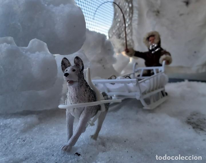 madelman mde explorador polar con trineo, perro - Comprar Madelman en ...