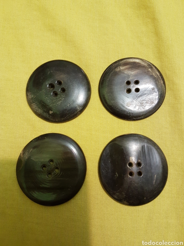 4 grandes botones antiguos de asta toro - Comprar Botones militares en ...