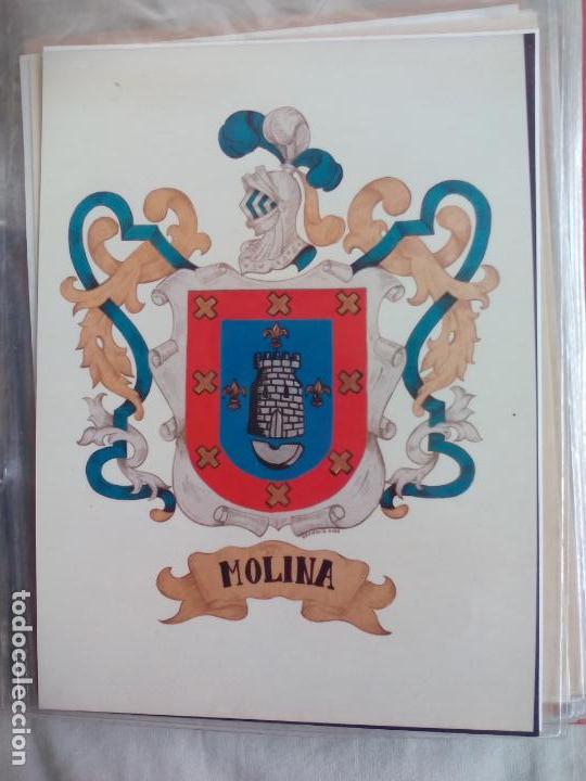 escudo de armas. apellido molina, blason españo - Compra venta en ...