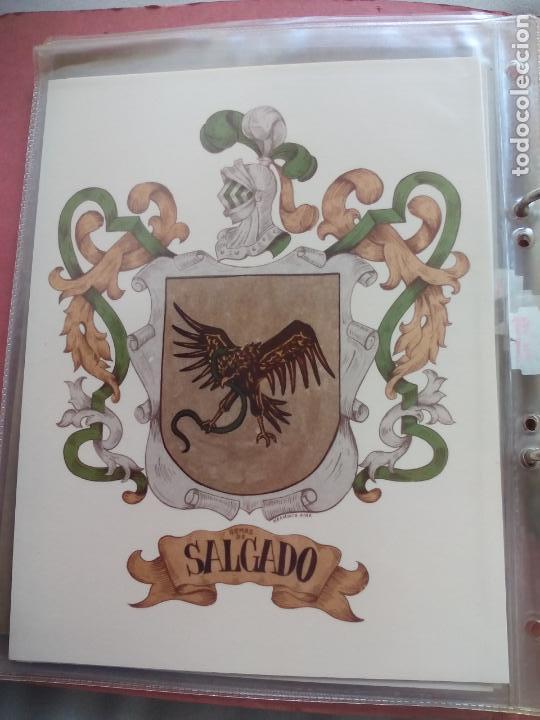 escudo de armas. apellido salgado. blason españ - Compra venta en ...