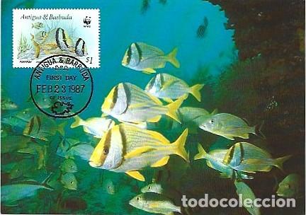 antigua e barbuda & maximo, wwf, pez cerdo, ani - Compra venta en ...