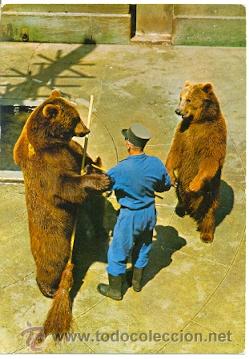 7-ani29. postal osos. berna. la fosa de los oso - Comprar Postales ...