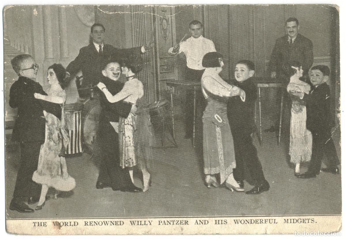 the world renowned willy pantzer and his wonder - Compra venta en ...