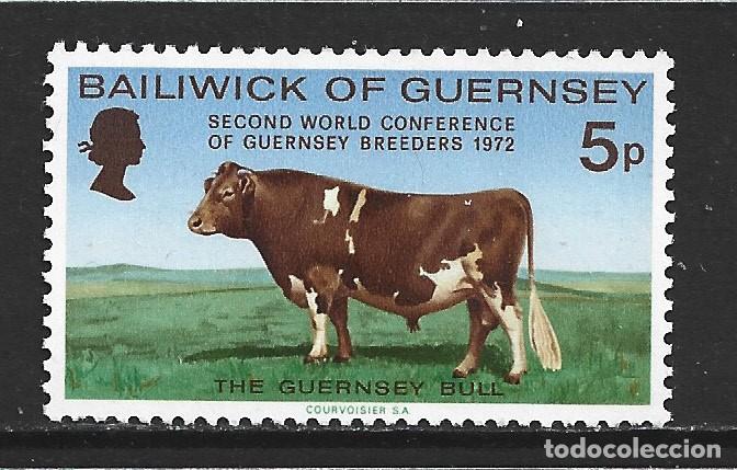Toro De Guernsey Guernsey Man With Medical Condition 'denied Use Of