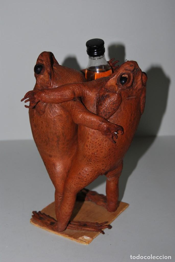 pareja de ranas disecadas - escena de fiesta - - Comprar en ...